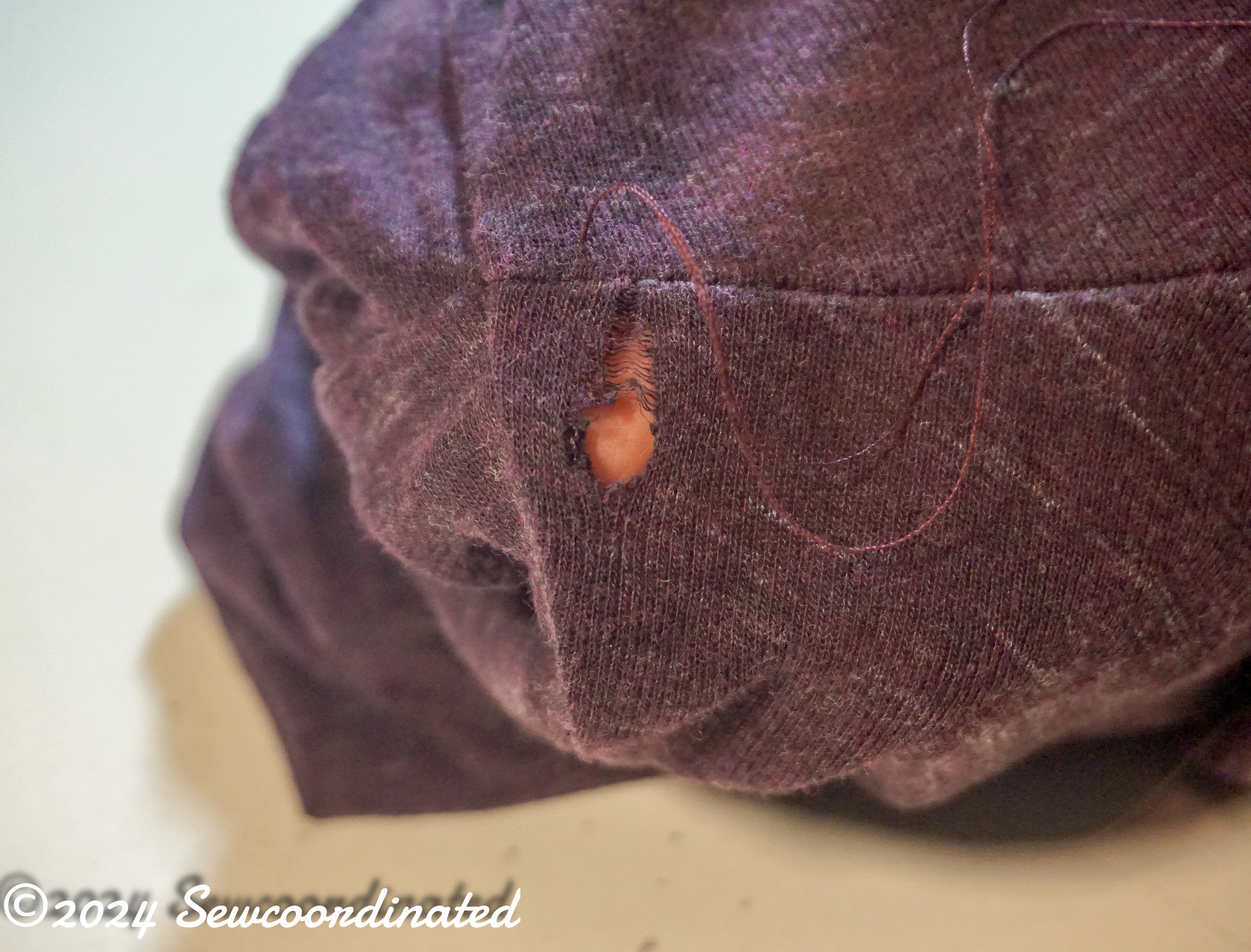 Sewcoordinated – My Life in Sewing and Fashion Design